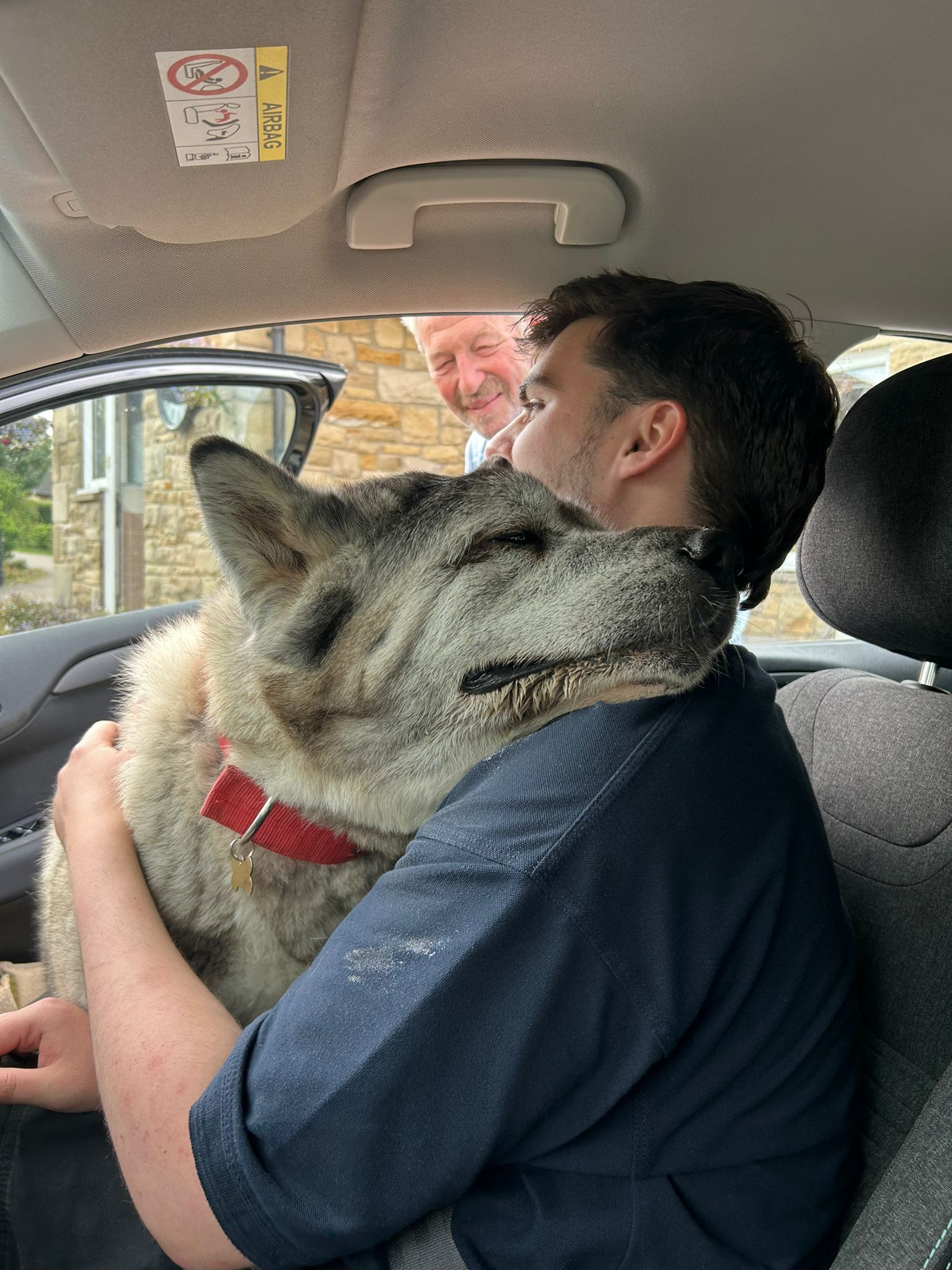 Cuddle in car - Newcastle Dog & Cat Shelter