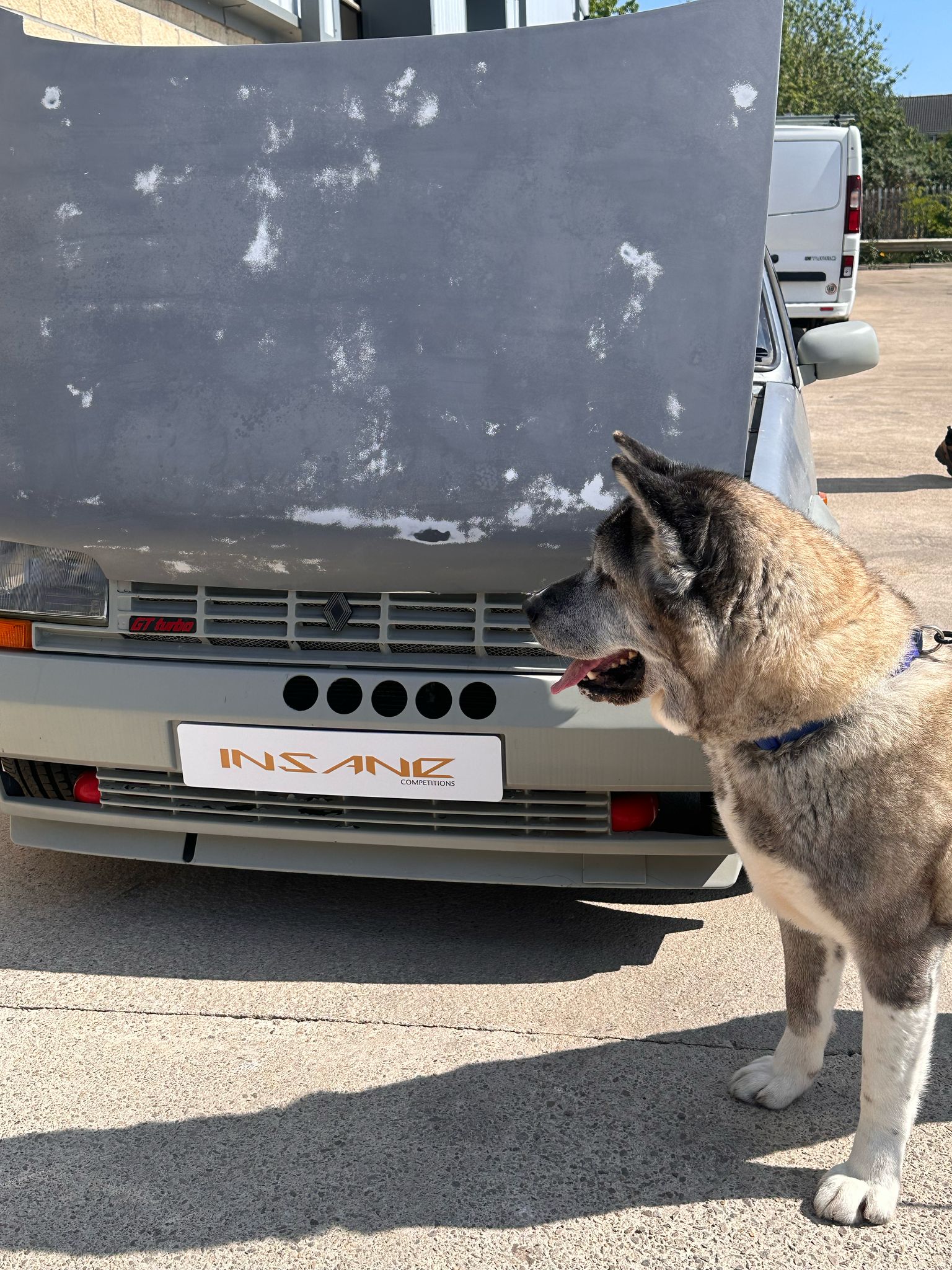 Newcastle Dog and Cat Shelter announce partnership with Insane Competitions - Newcastle Dog ...