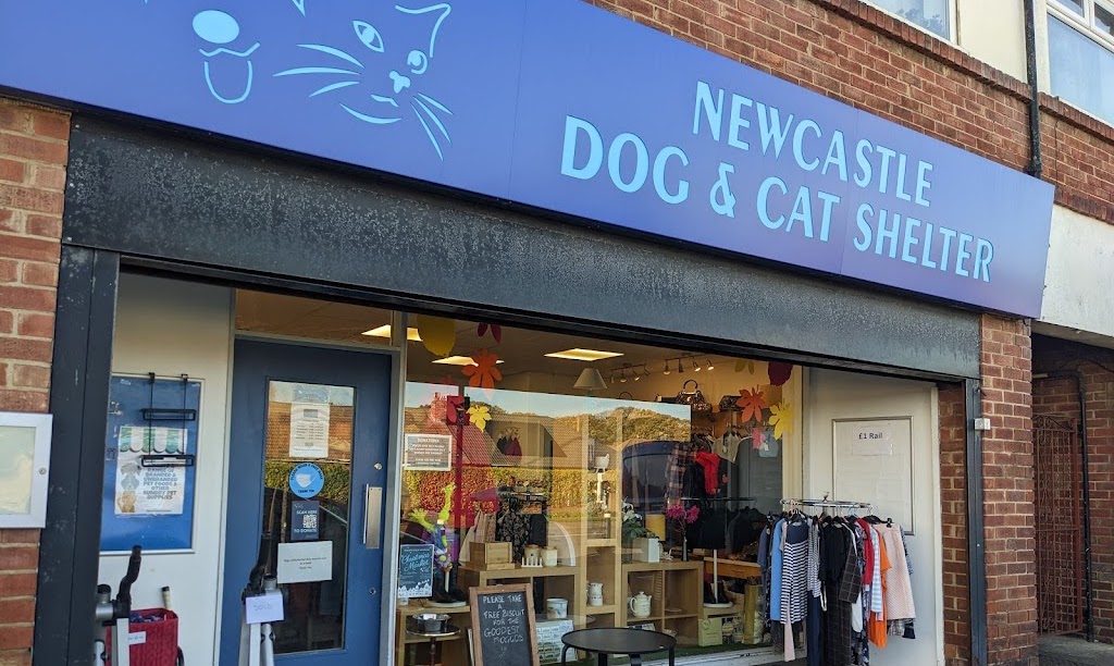 dog-cat-shelter-charity-shop - Newcastle Dog & Cat Shelter